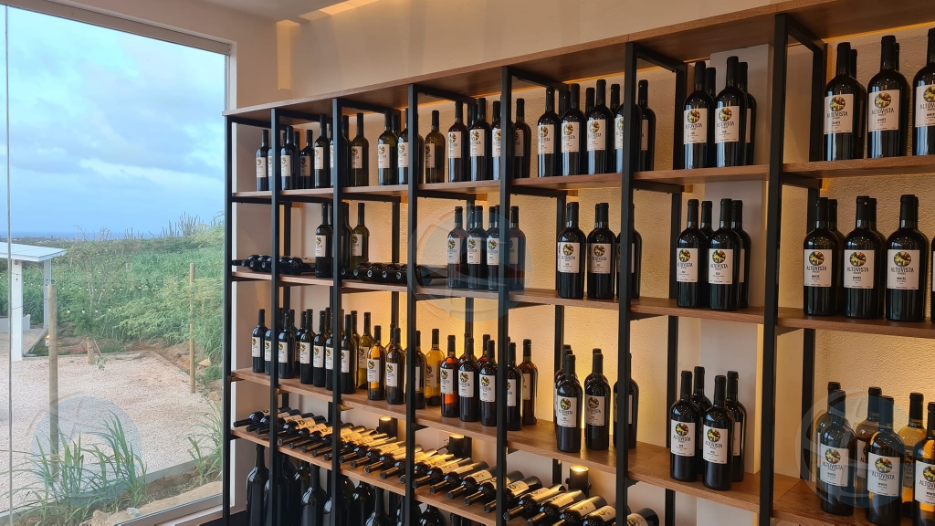 NoticiaCla - Aruba tin su propio viñedo, bodega y distileria Alto Vista ...