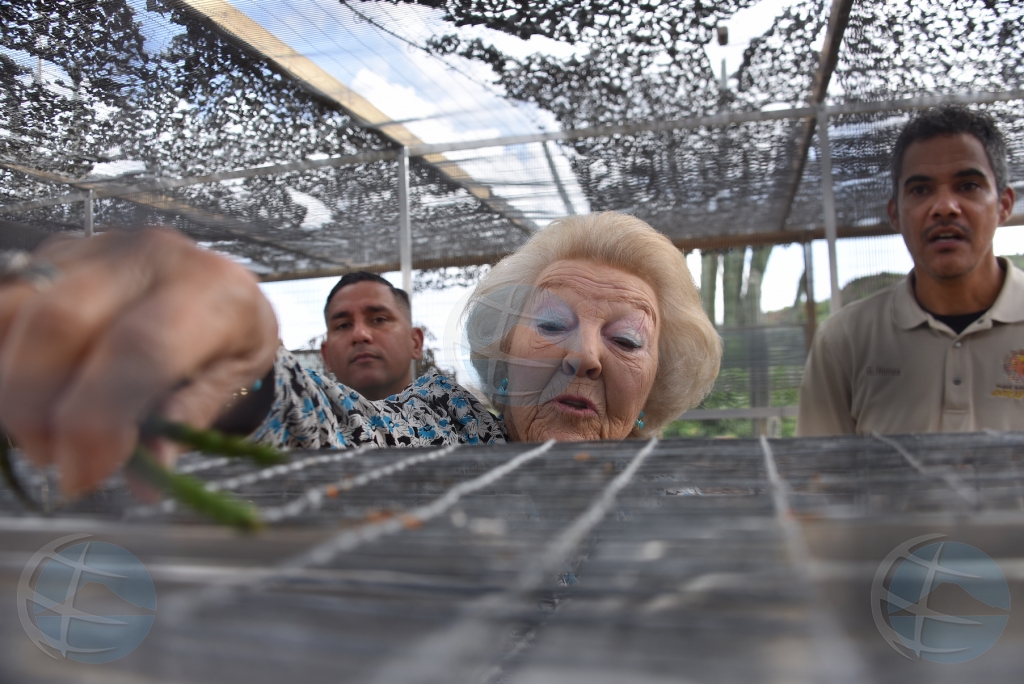 NoticiaCla - Fundacion Parke Nacional Aruba a tuma accion pa ...