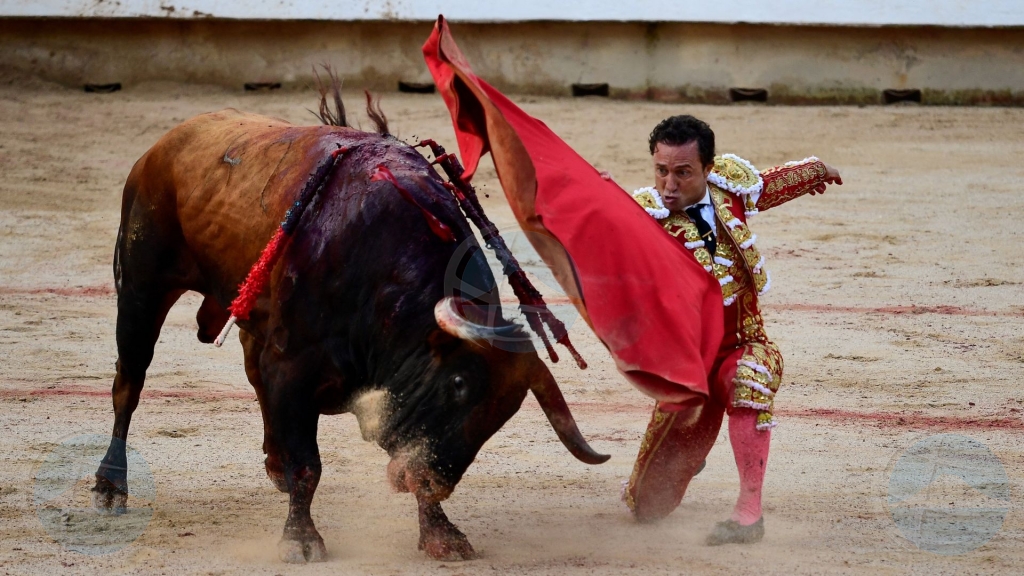 NoticiaCla - Colombia ta prohibi corida di toro entrante 2028